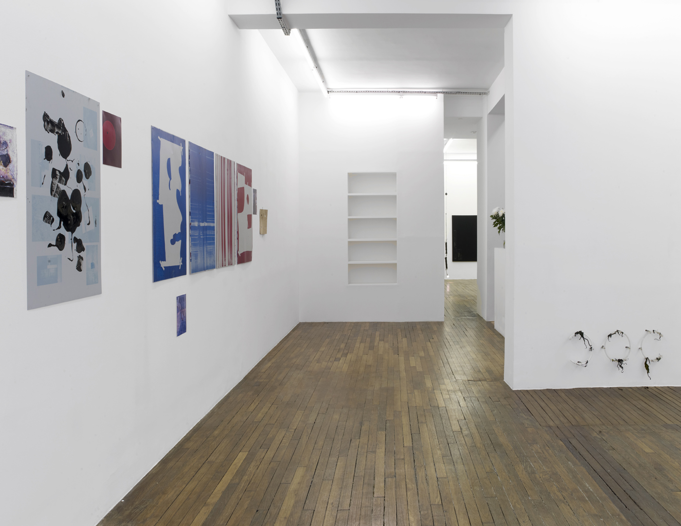 Induction Procedure – Galerie Art Concept