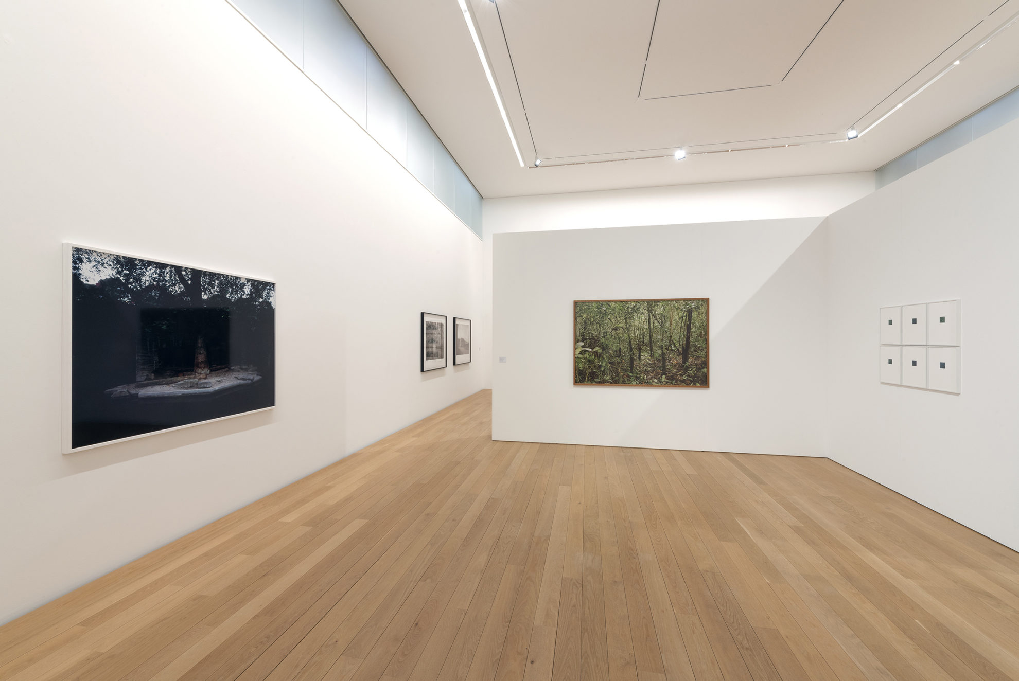 Geert Goiris – Galerie Art Concept